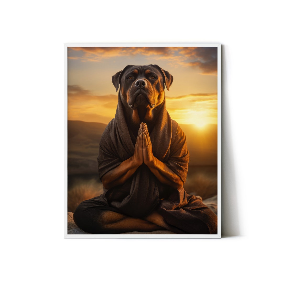 Rottweiler in Meditation Pose, Animals Doing Yoga, Funny Animals ...