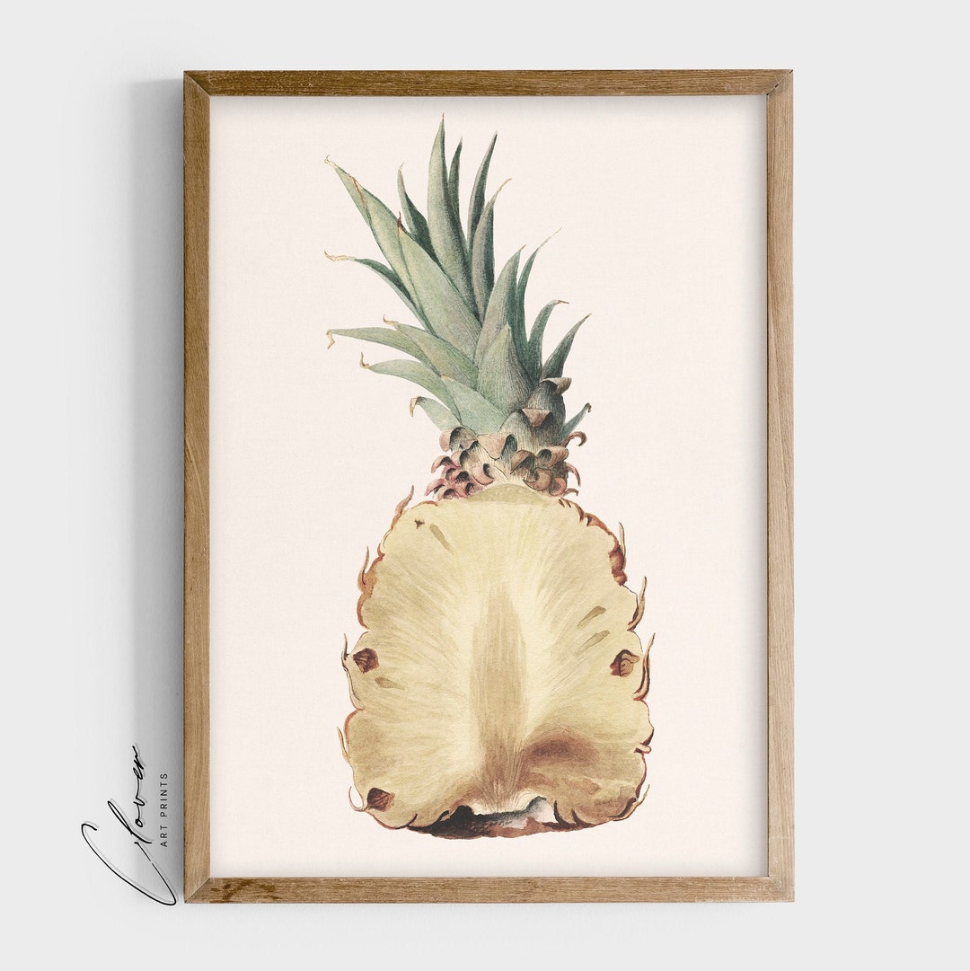 Vintage Ananas Gemälde | Sommer Vibes Kunstwerk | Minimalistischer Obst ...
