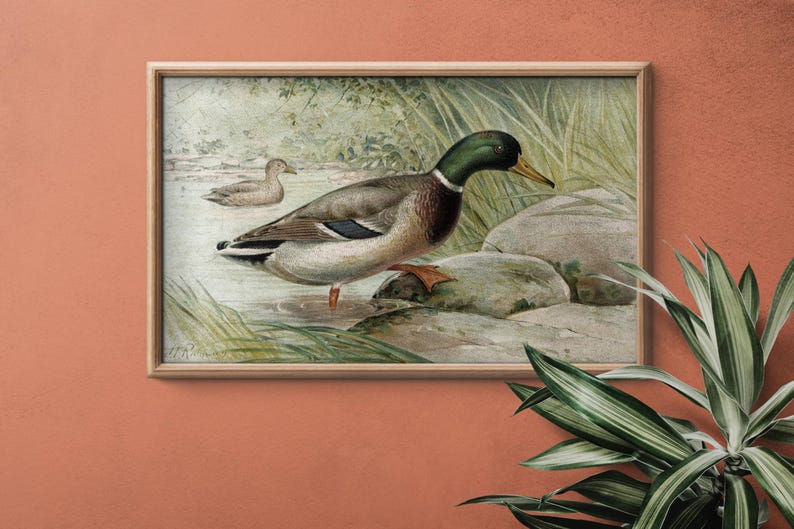Cute Duck Painting for Vintage Gallery Wall Art Print | Aesthetic ...