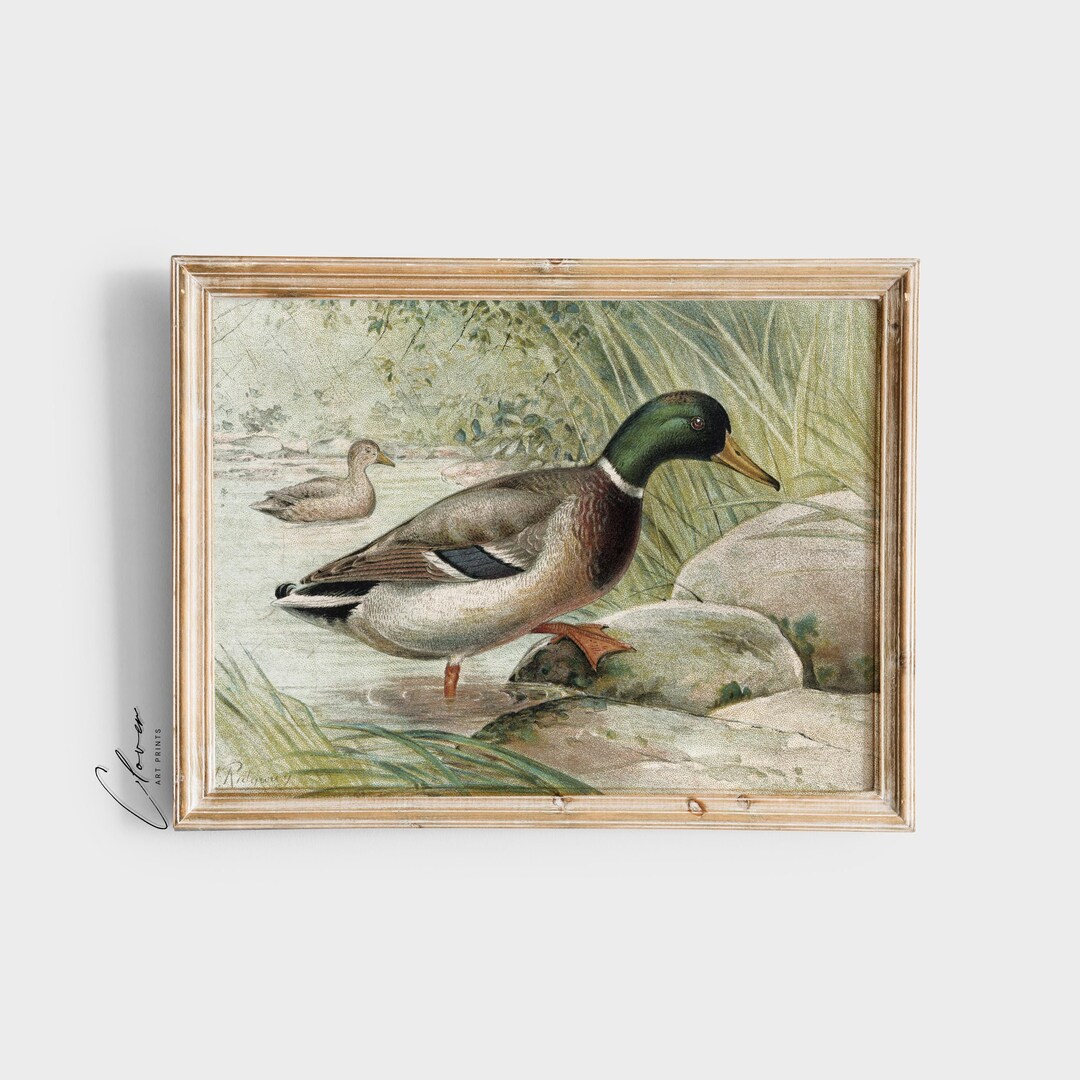 Cute Duck Painting for Vintage Gallery Wall Art Print | Aesthetic ...
