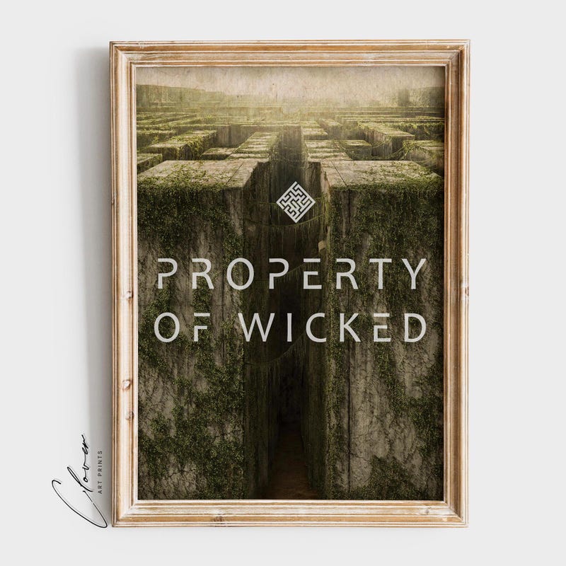 The Maze Runner - Etsy