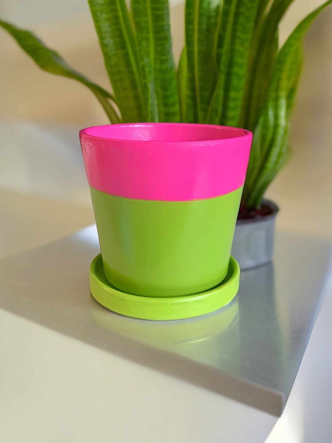 5 Colorblock Planter Set Neon Pink/lime // Ceramic Pot W/drainage ...