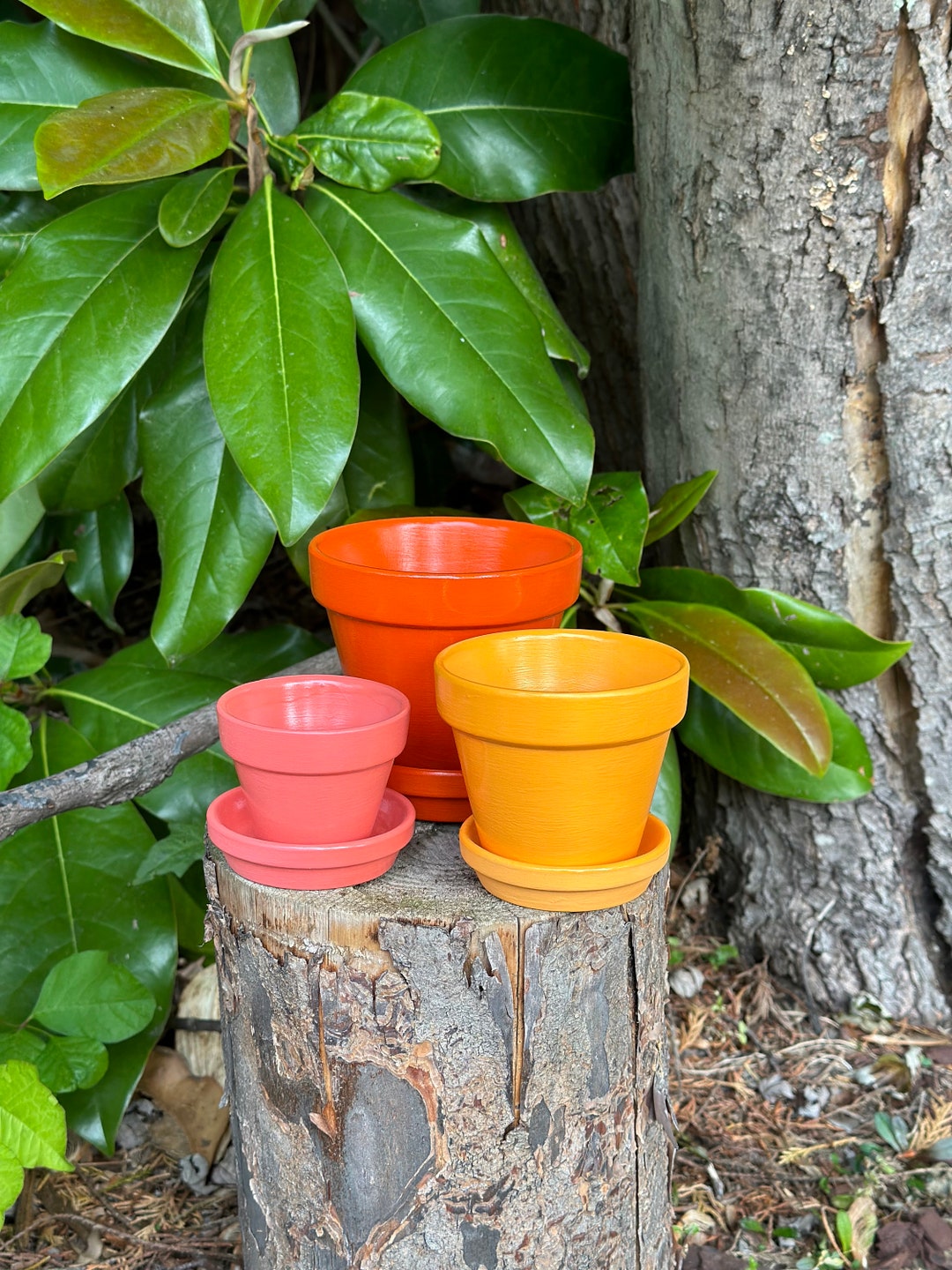 3 Hand-painted Terracotta Planters // Colorful Clay Pots W/drainage ...