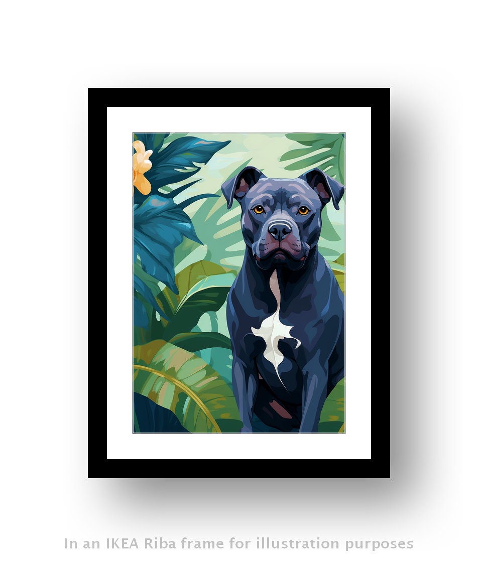Staffordshire Bull Terrier Set of All 3 Poster Art Prints Dog Pet ...