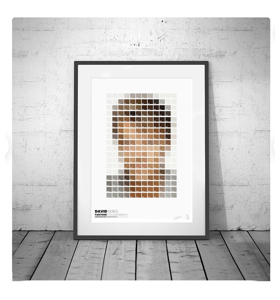 DAVID - Limited Edition Print - Abstract Colour Swatch Illusion ...