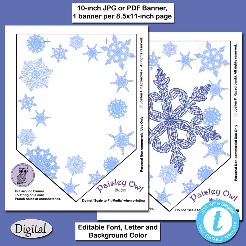 10-inch Editable Banner, Frosty Snowflake Custom Bunting Pennant ...