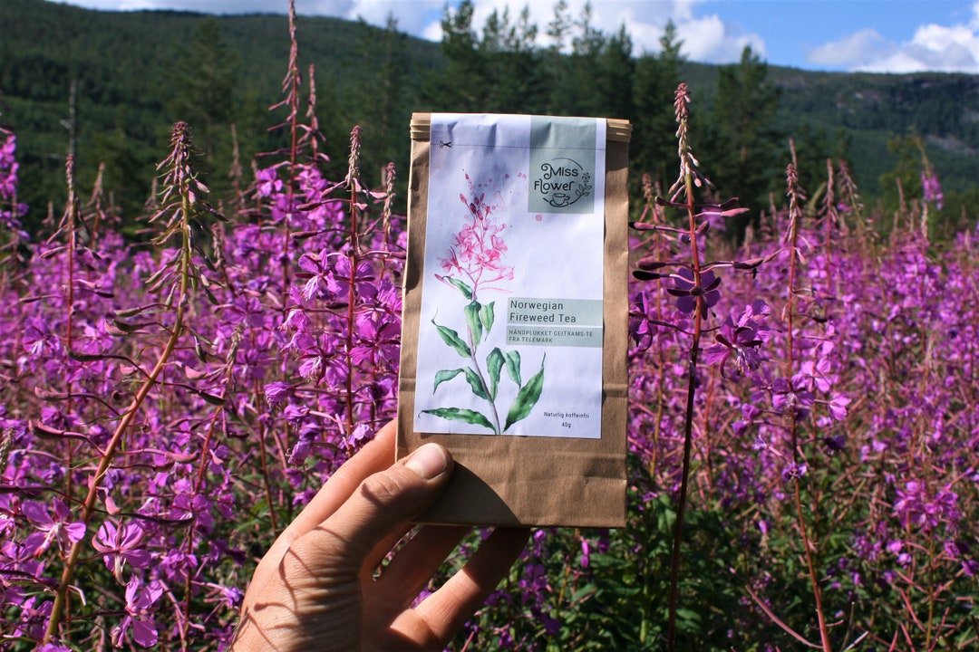 Norwegian Fireweed Tea- Ivan Chai-geitrams Te Made in Norway, Herbal ...