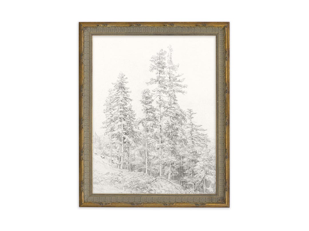 Framed Vintage Trees Sketch in Customizable Frames and Sizes. Art in ...
