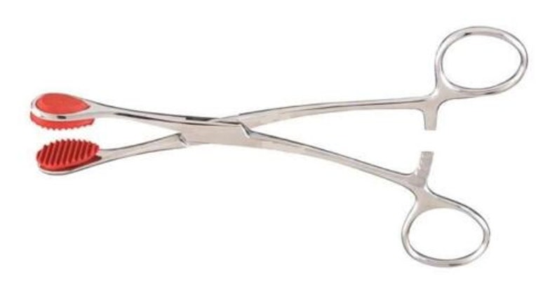 Young Tongue Forceps Surgical Oral Medical Clamp Fetish Bondage Play ...