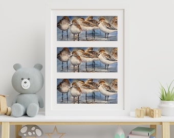 Watercolor Painting Shore Birds - Etsy