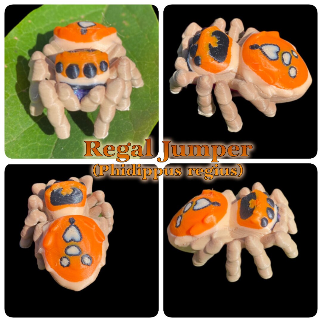 Jumping Spider Figure, 3D Printed Jumping Spider Gift, Regal Jumping ...