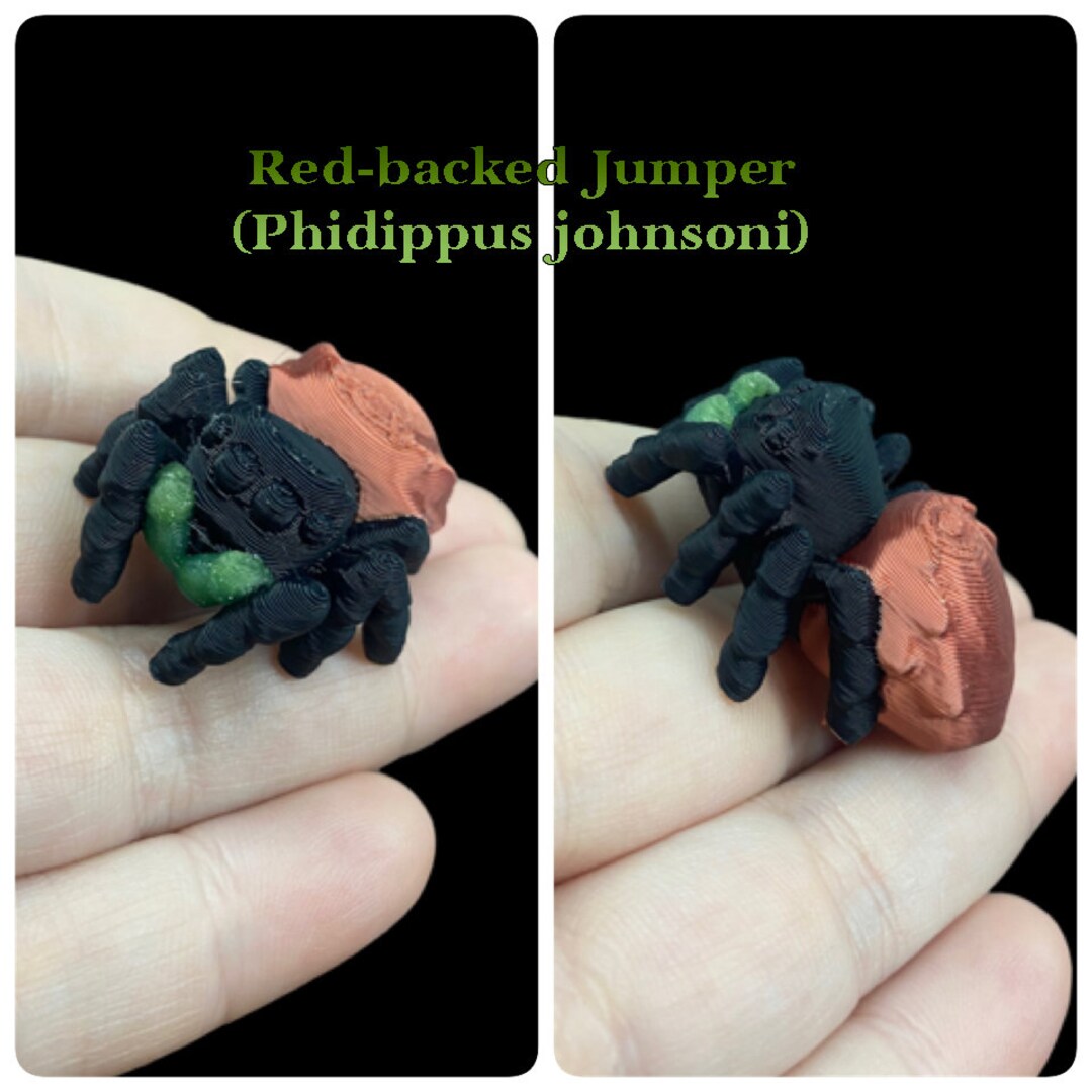 Jumping Spider Figure, 3D Printed Jumping Spider Gift, Red-backed ...