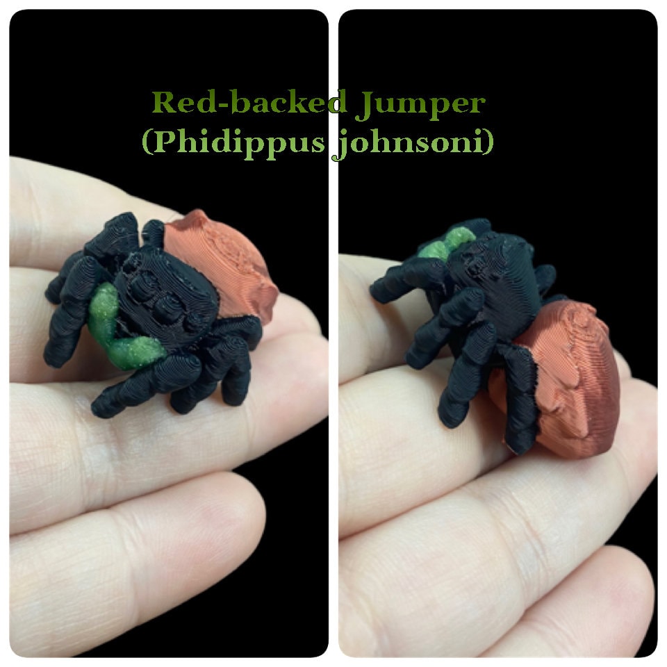 Jumping Spider Figure, 3D Printed Jumping Spider Gift, Red-backed ...