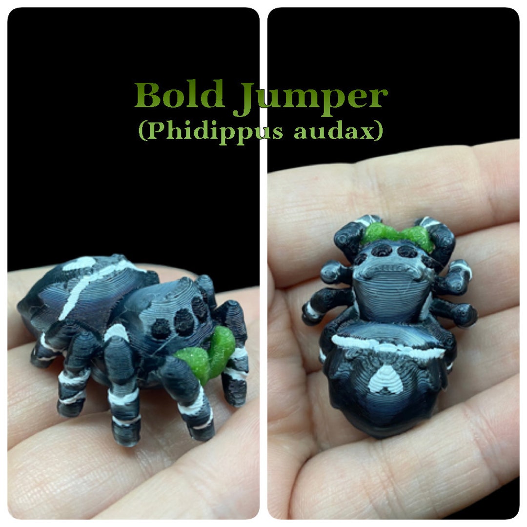 Jumping Spider Figure, 3D Printed Jumping Spider Gift, Bold Jumping ...