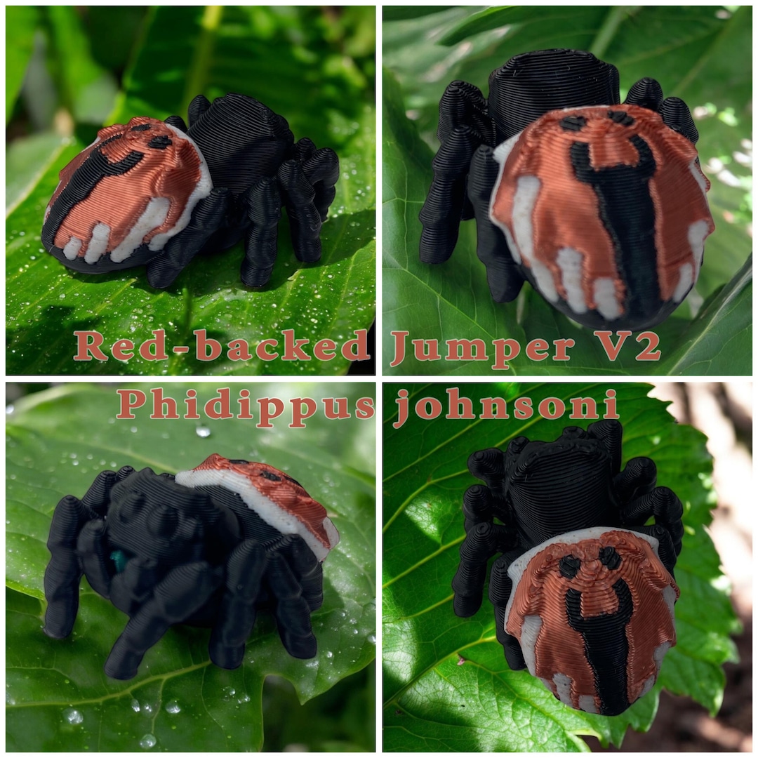 Jumping Spider Figure, 3D Printed Jumping Spider Gift, Red-backed ...