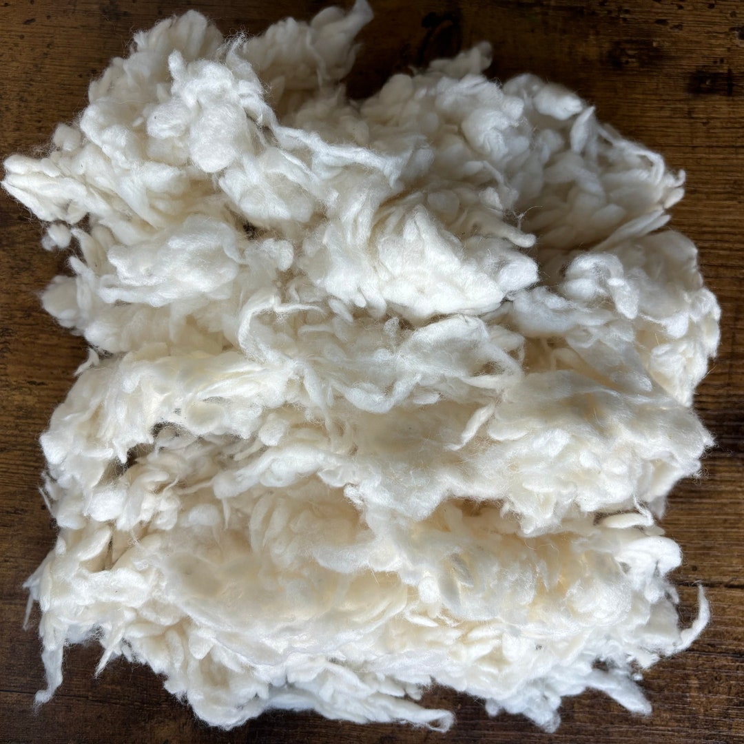 Curly Wool Locks for Needle Felting White Sheep, Llama, Alpaca, Beards ...