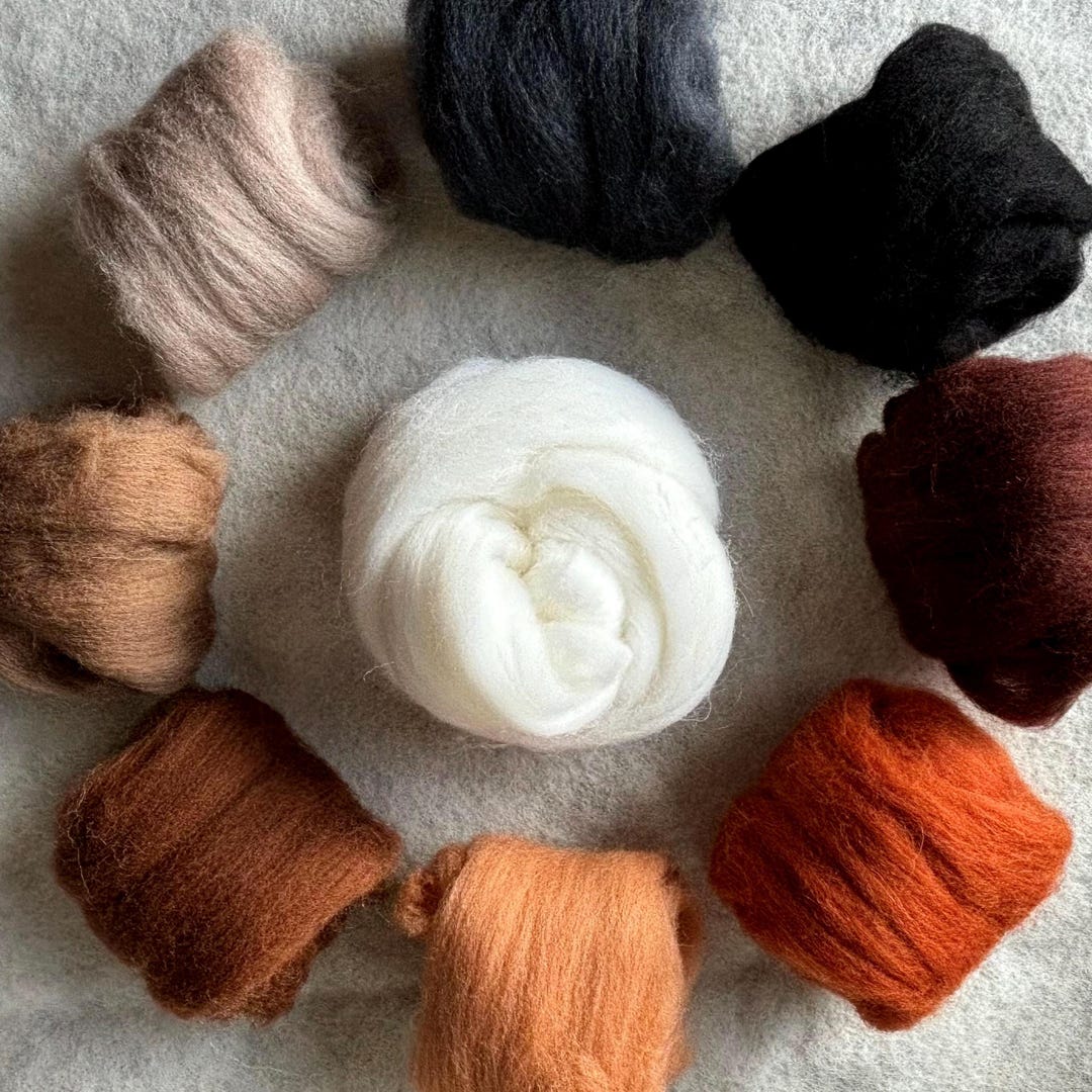 Natural Animal Colored Needle Felting Wool Sampler Mix Kit Woodland ...