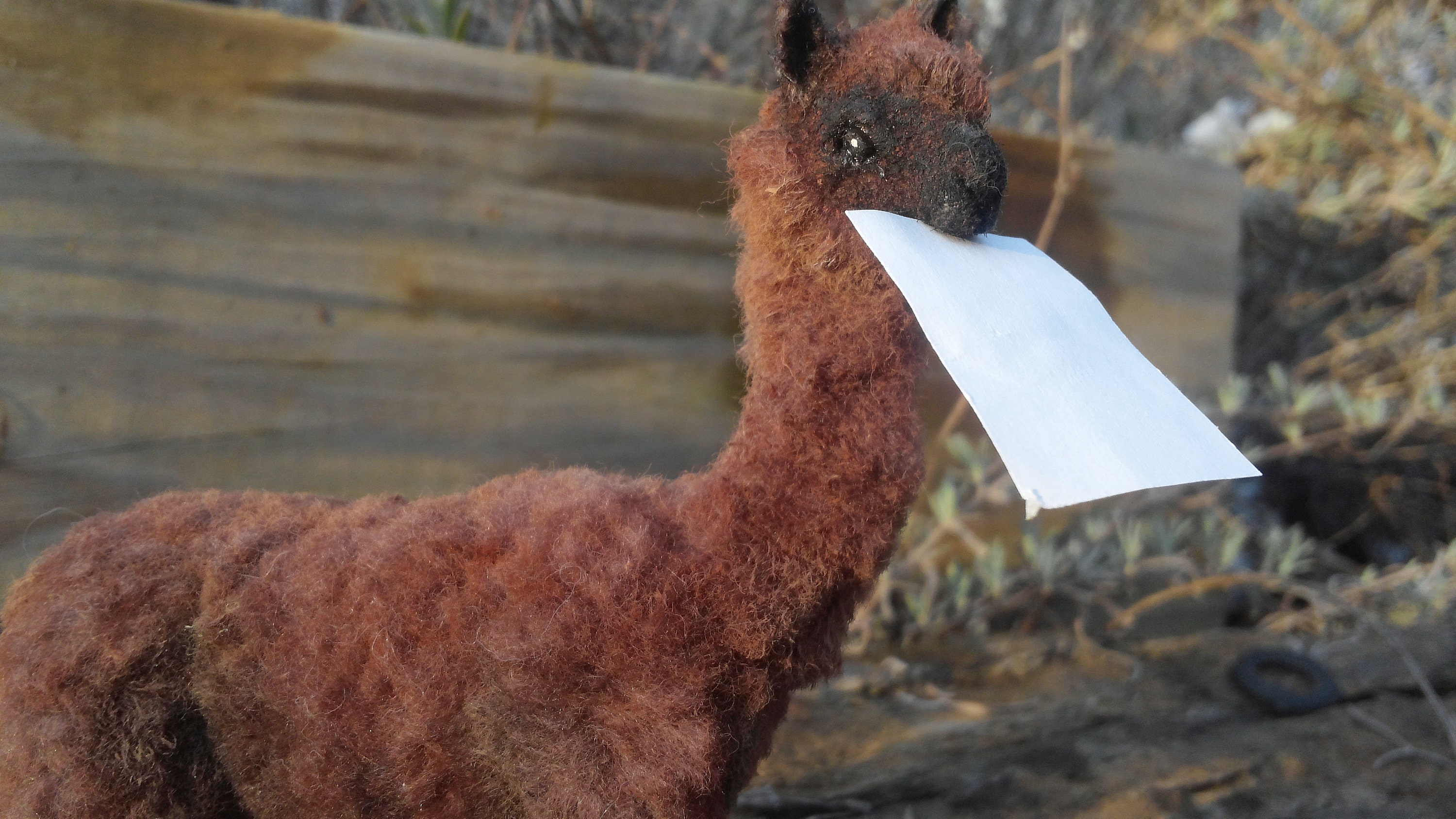 1:12 Scale Brown Alpaca Realistic Dollhouse Pet Ooak - Etsy