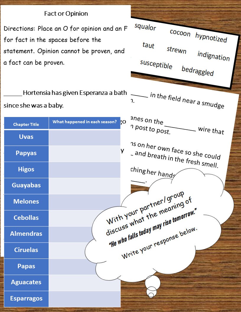 Reading Comprehension Packet for the Novel Esperanza Rising by Pam ...