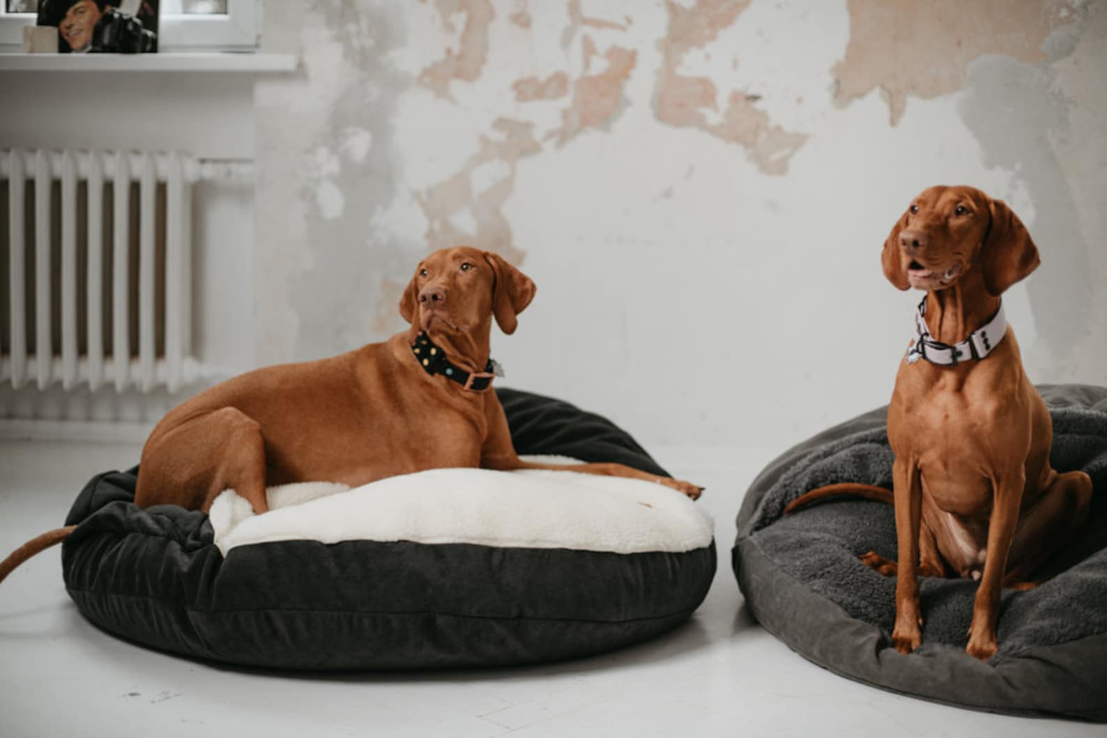 Big Washable Dog Bed Cave Crate Puppy Cave Plush Bed for Large - Etsy