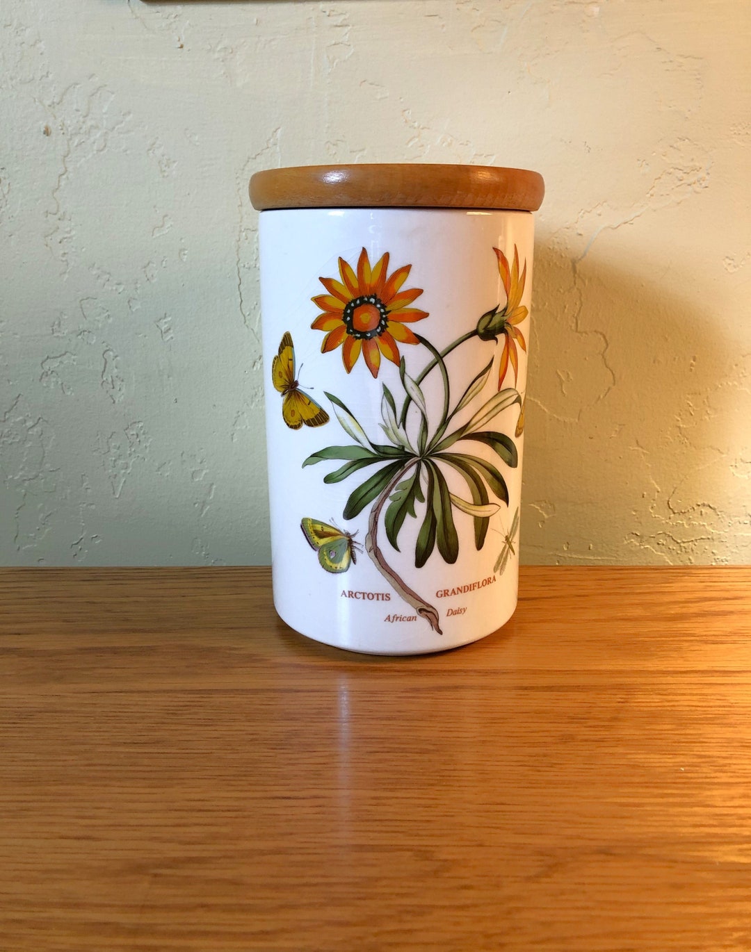 Portmeirion Botanic Garden Canister African Daisy 8", Arctotis ...