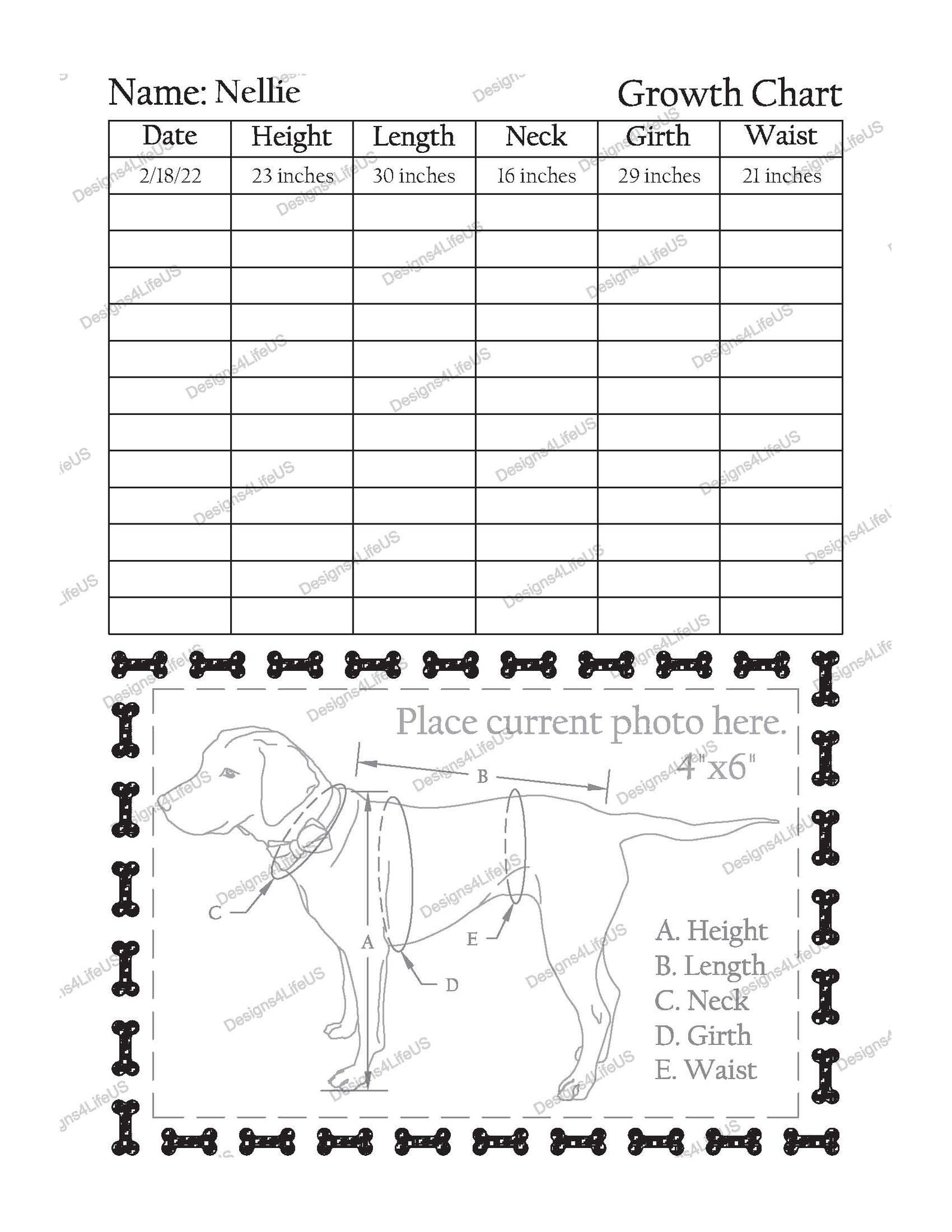Dog Measurements Chart and Form - Etsy