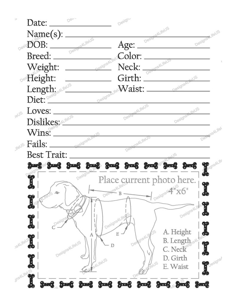 Dog Measurements Chart and Form - Etsy