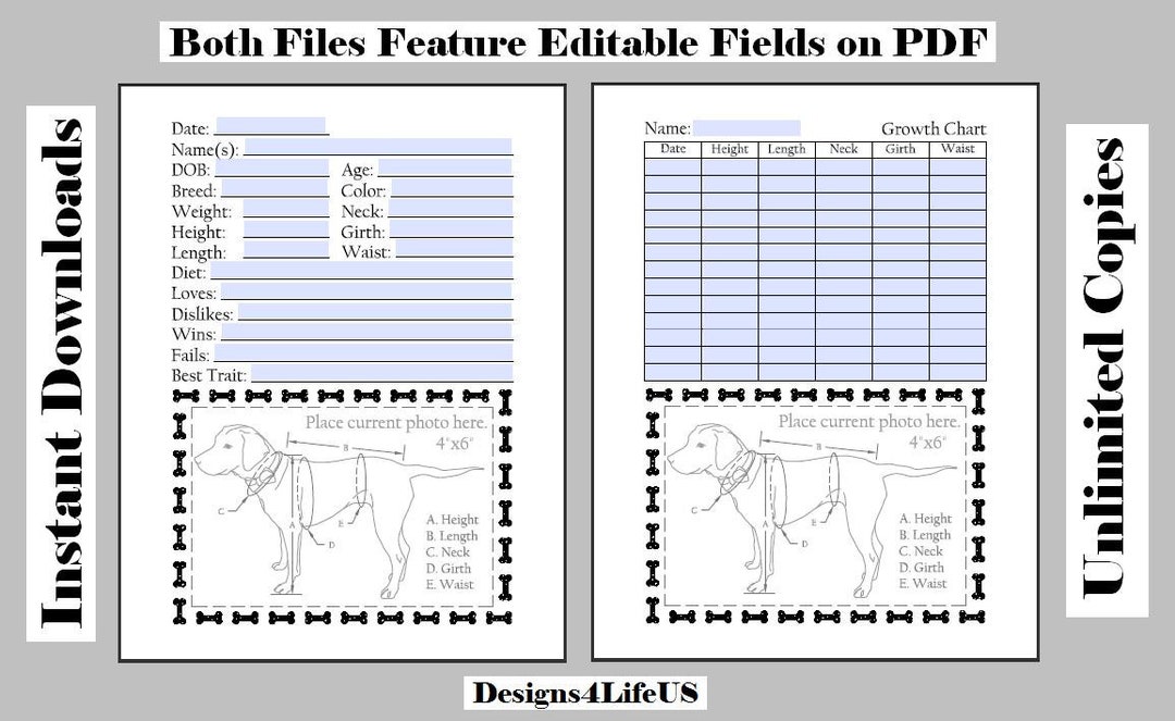 Dog Measurements Chart and Form - Etsy