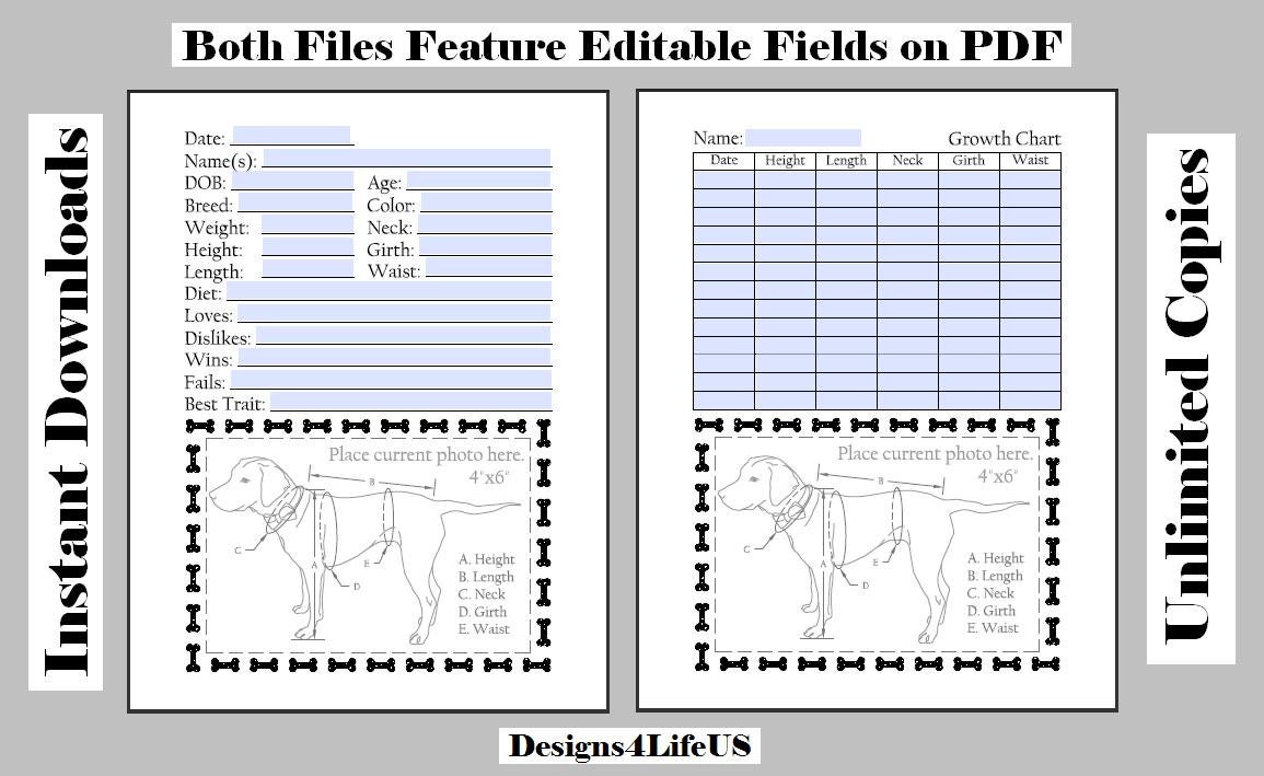 Dog Measurements Chart and Form - Etsy