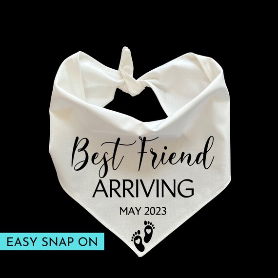 Best Friend Arriving Pregnancy Announcement Baby Shower Baby - Etsy