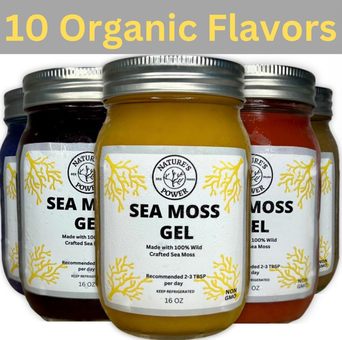 Wildcrafted Raw Sea Moss 4 Oz, Wildcrafted Sea Moss From St.lucia ...