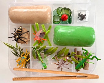 Insect Playdough Sensory Kit - Etsy