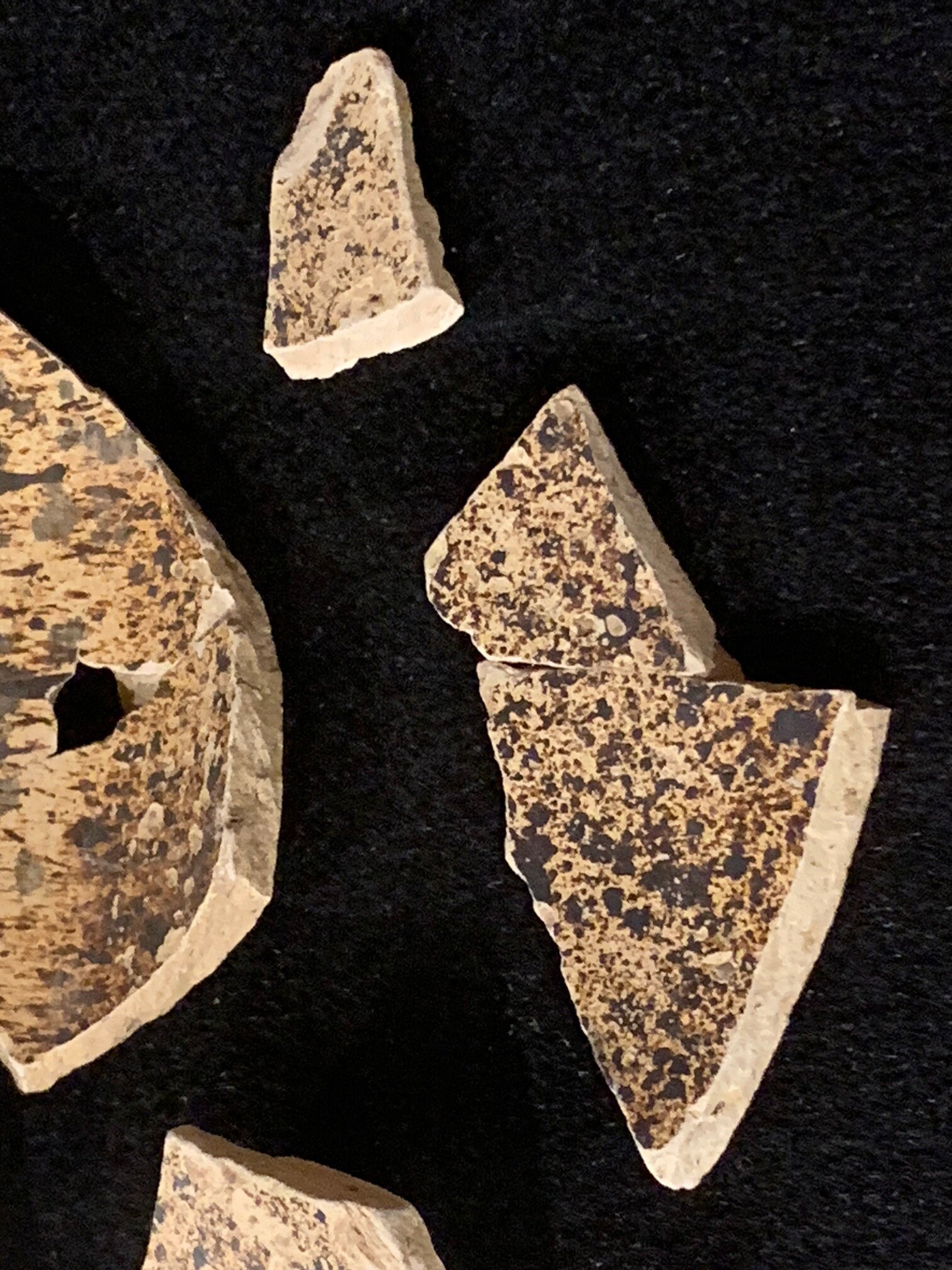 Prehistoric Anasazi Jeddito Black-on-yellow Splatter Bowl Shards Native ...