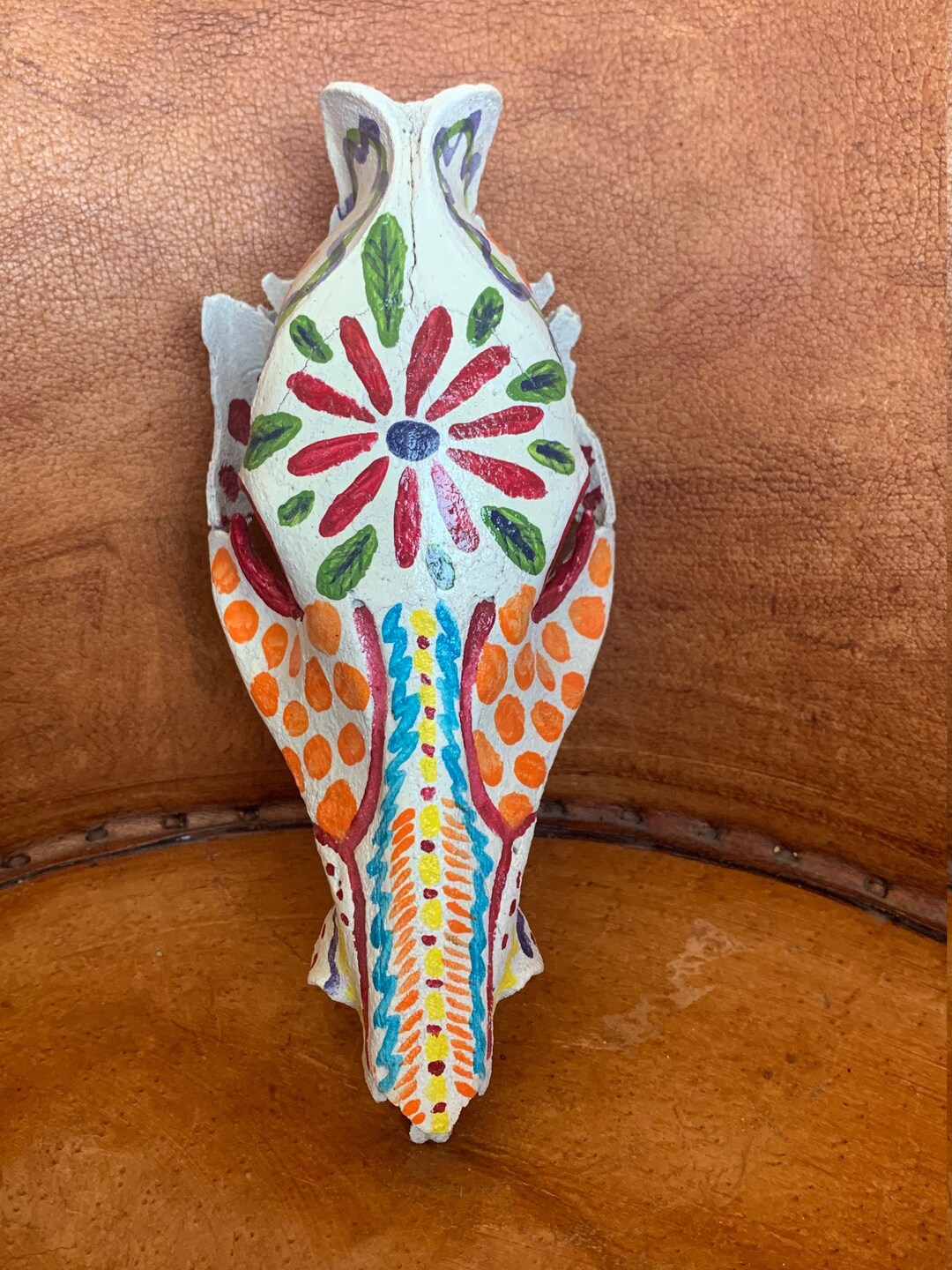 Dia De Los Muertos Day of the Dead Painted Javelina Skull - Etsy