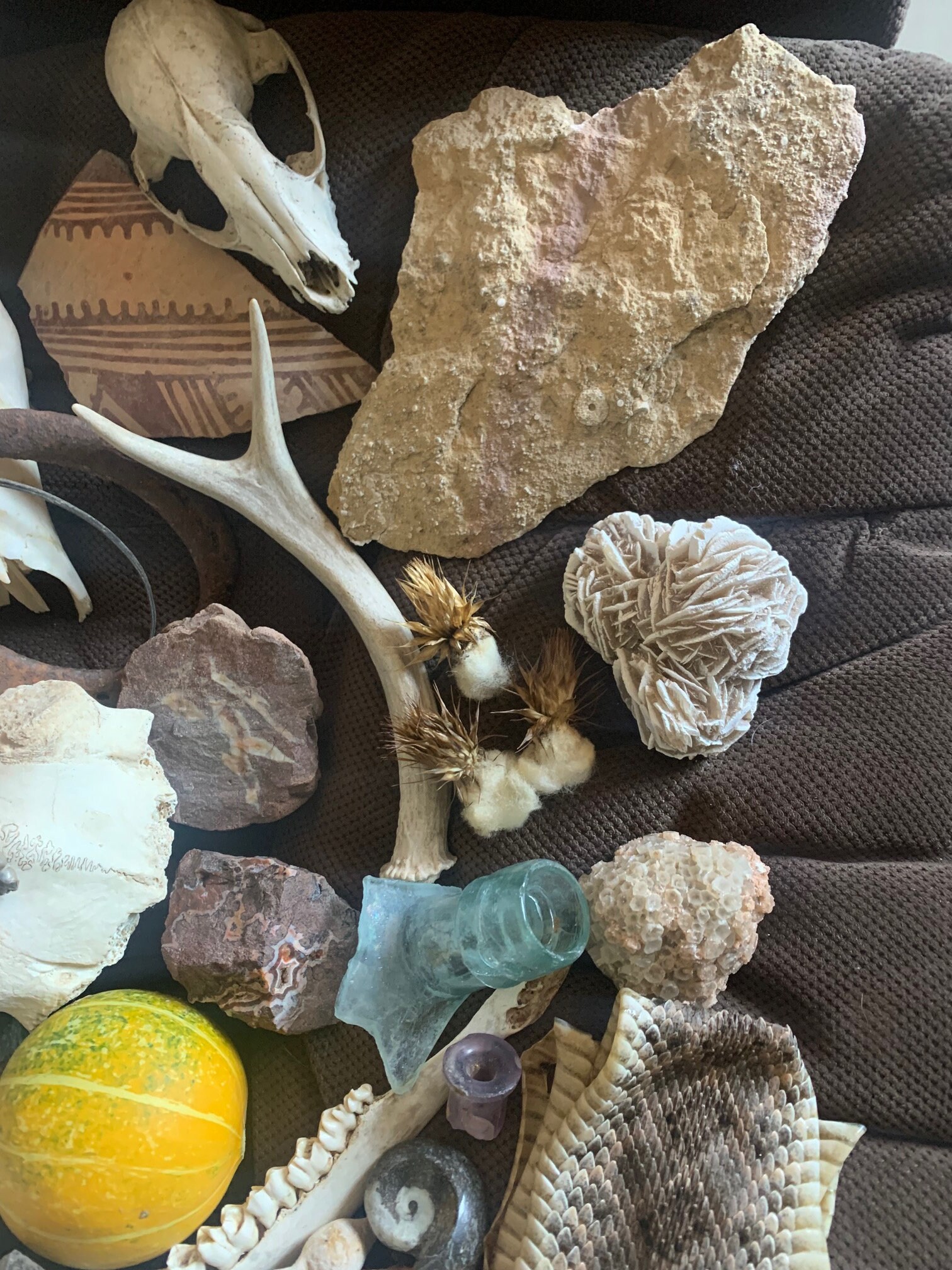 Natural History Mystery Box Choose Your Size. Science, Archaeology ...