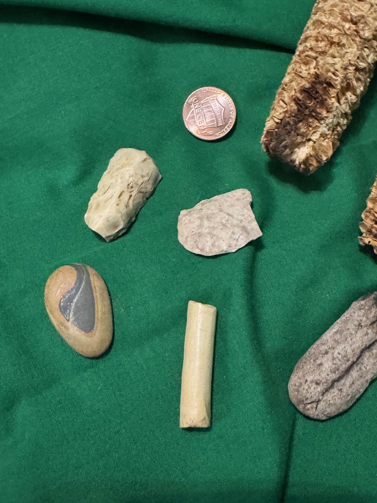 Prehistoric Native American Artifacts Pieces of Shell, Corn Cobs, and ...