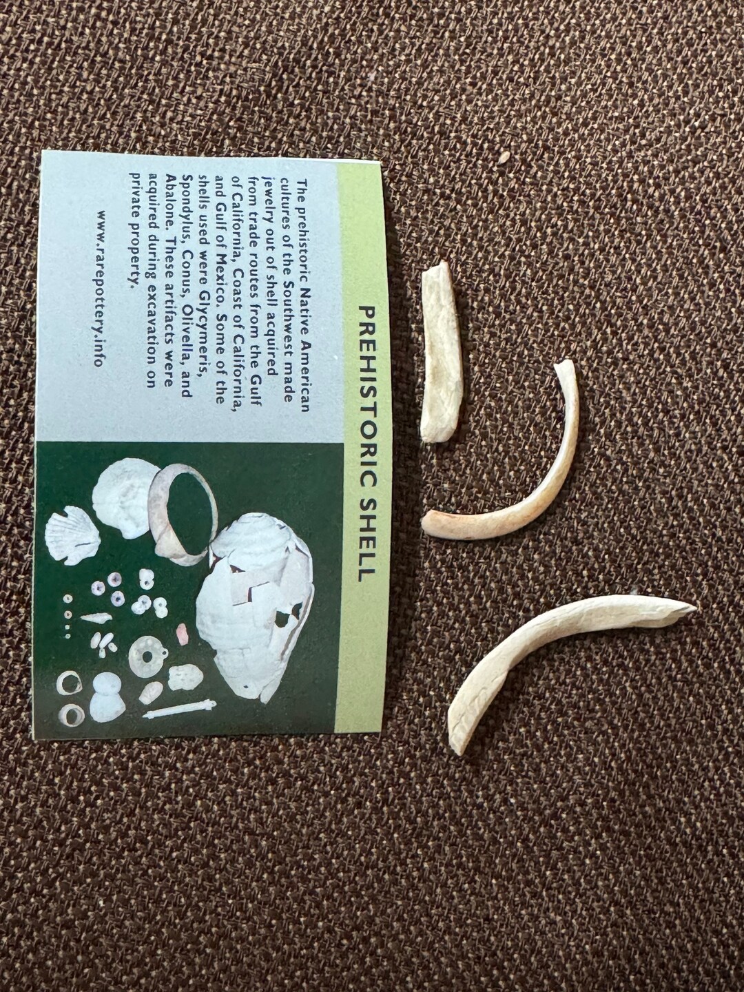 Prehistoric Hohokam Native American Artifact Arizona - Shell - Etsy