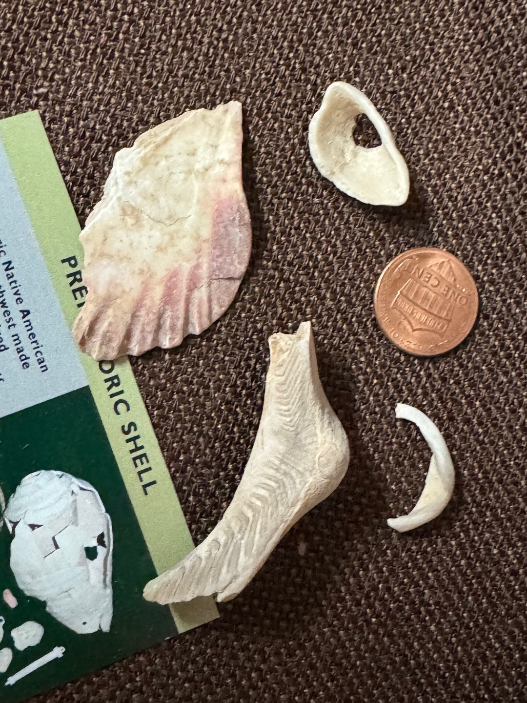Prehistoric Hohokam Native American Artifact Arizona - Shell - Etsy
