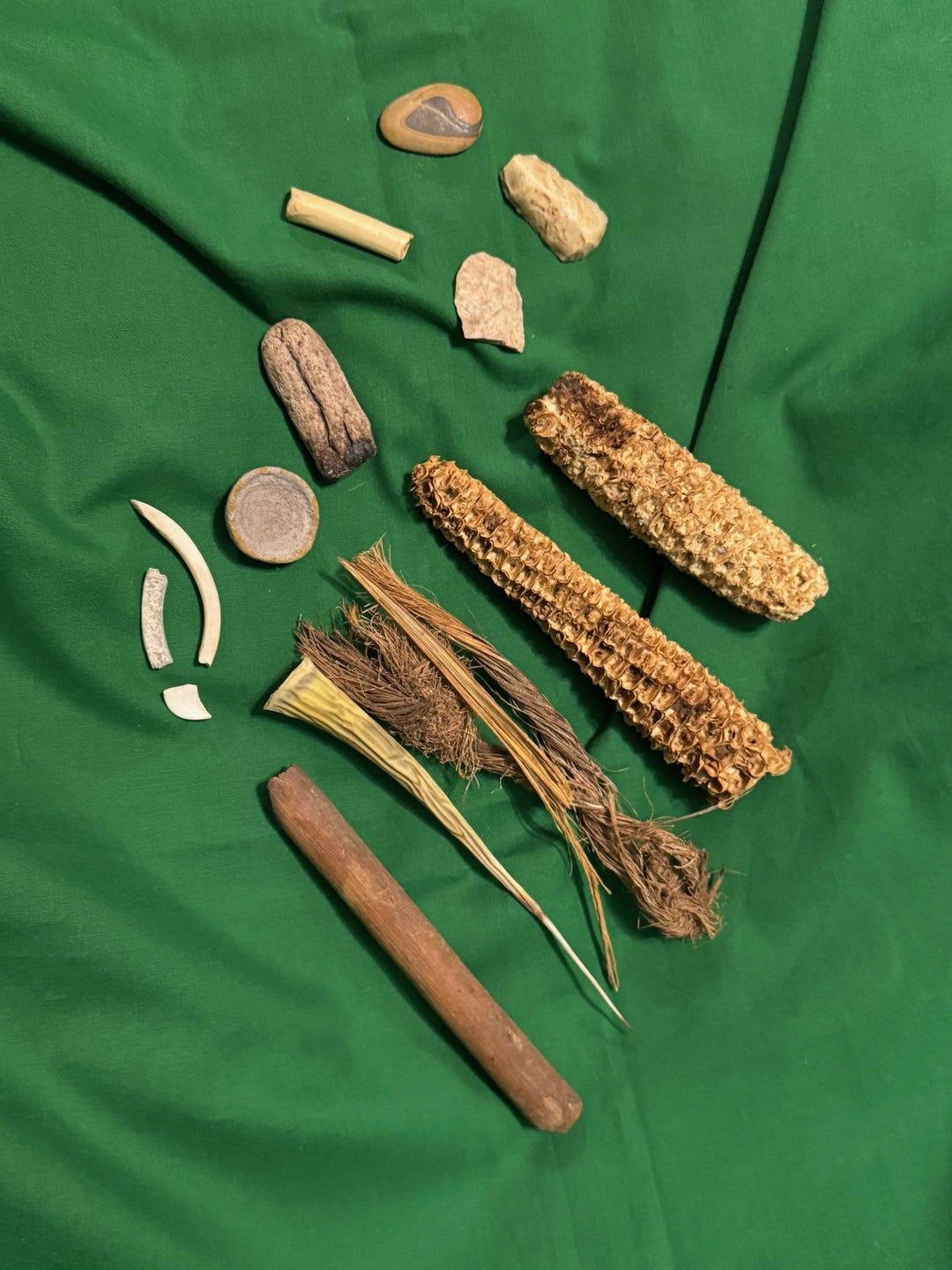 Prehistoric Native American Artifacts - Pieces of Shell, Corn Cobs, and ...
