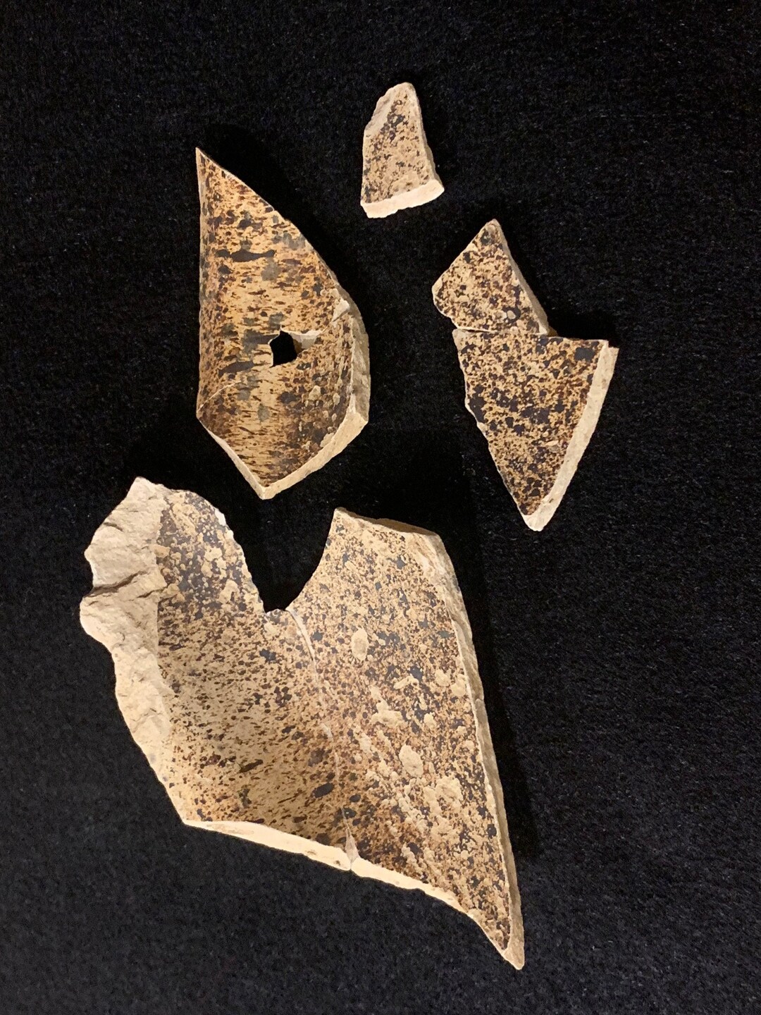 Prehistoric Anasazi Jeddito Black-on-yellow Splatter Bowl Shards Native ...