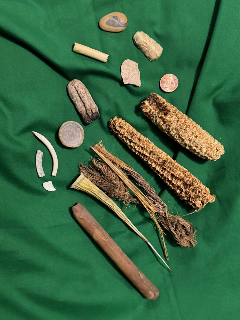 Prehistoric Native American Artifacts Pieces of Shell, Corn Cobs, and ...