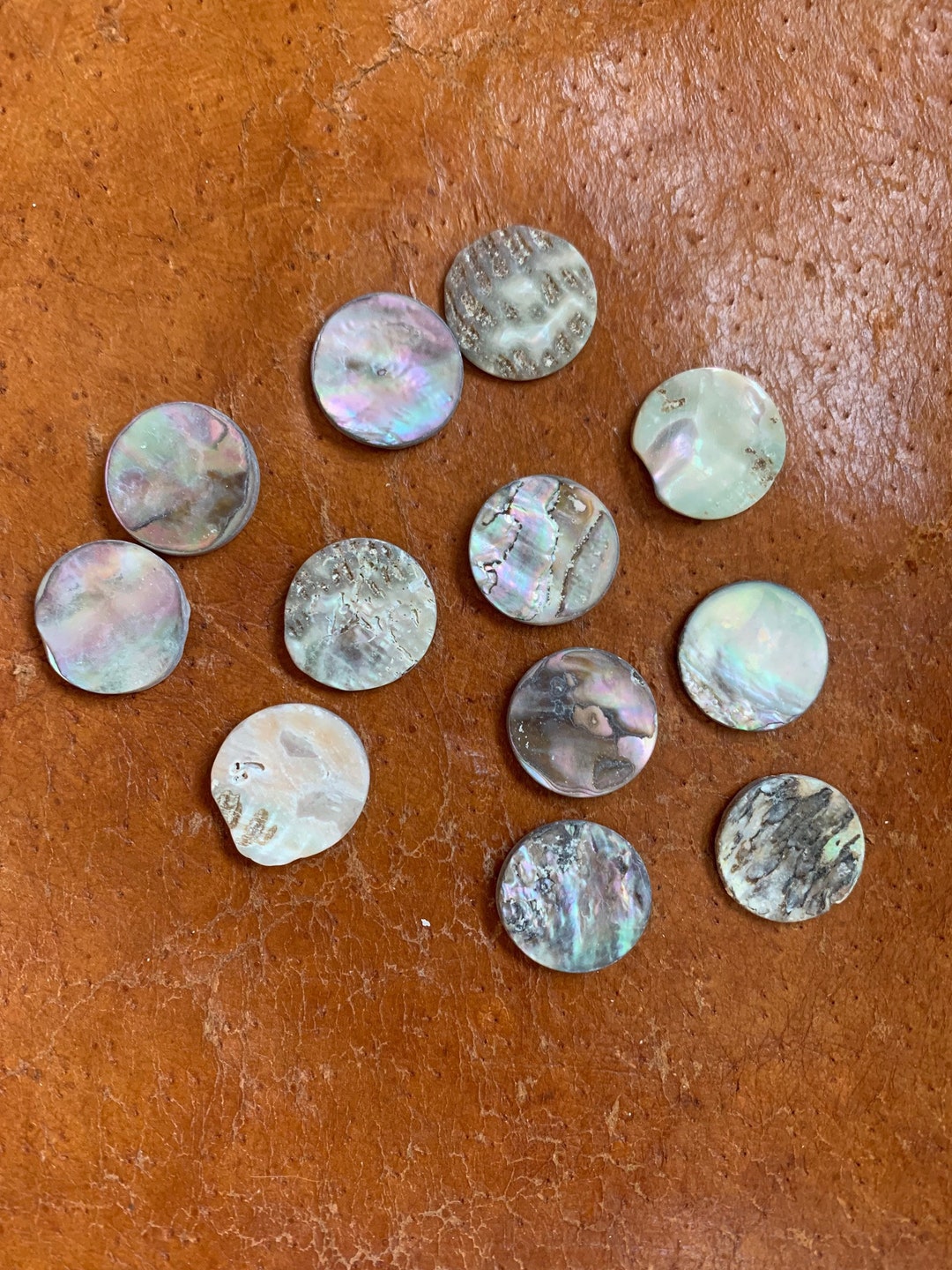 Abalone Shell Rounds Discs - Lot of 12 - Etsy