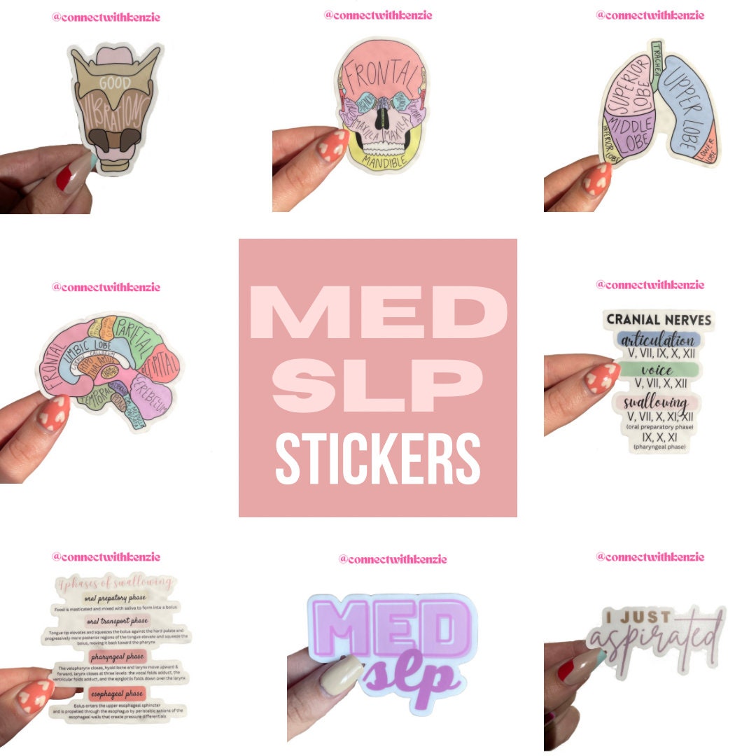 Pharynx Anatomy Sticker - Etsy