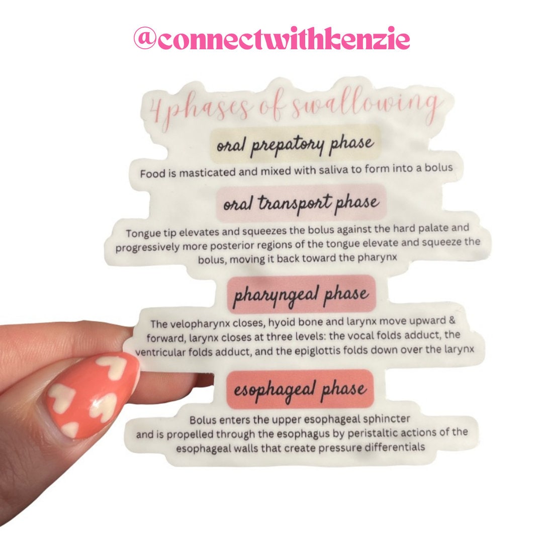 Phases of Swallowing Sticker - Etsy