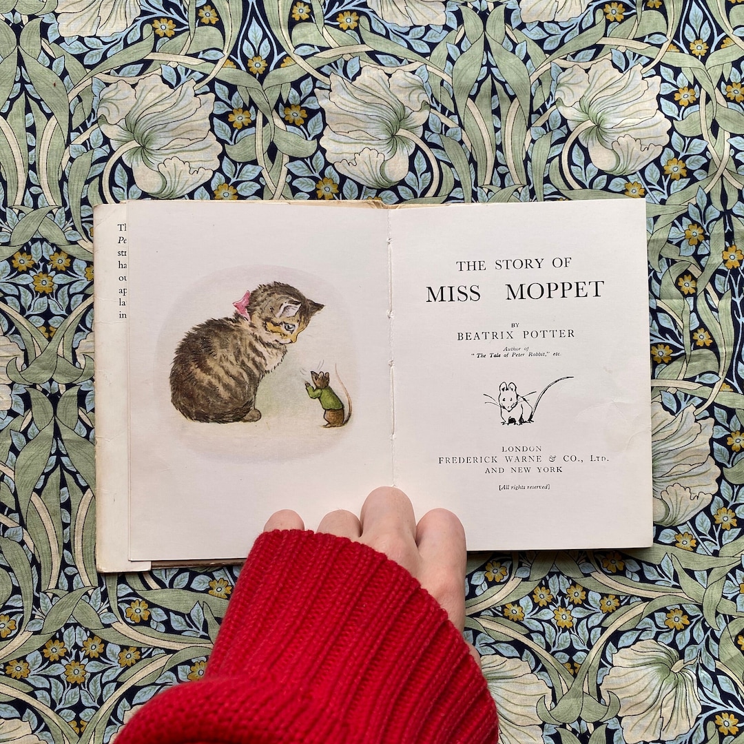 The Story of Miss Moppet - Etsy