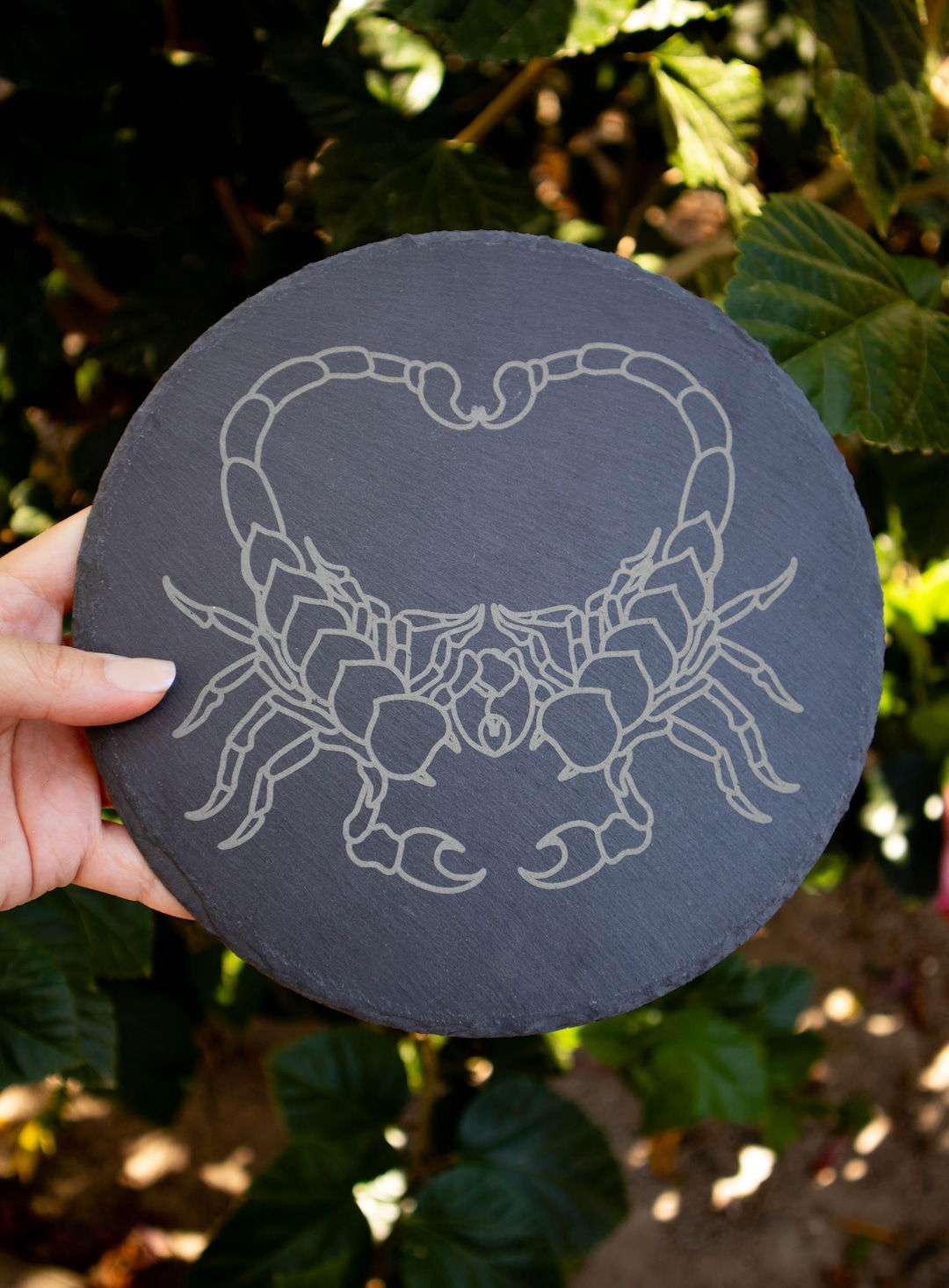Scorpions Ritual Plate, Charcuterie Board, Food Platter, Gothic Platter ...
