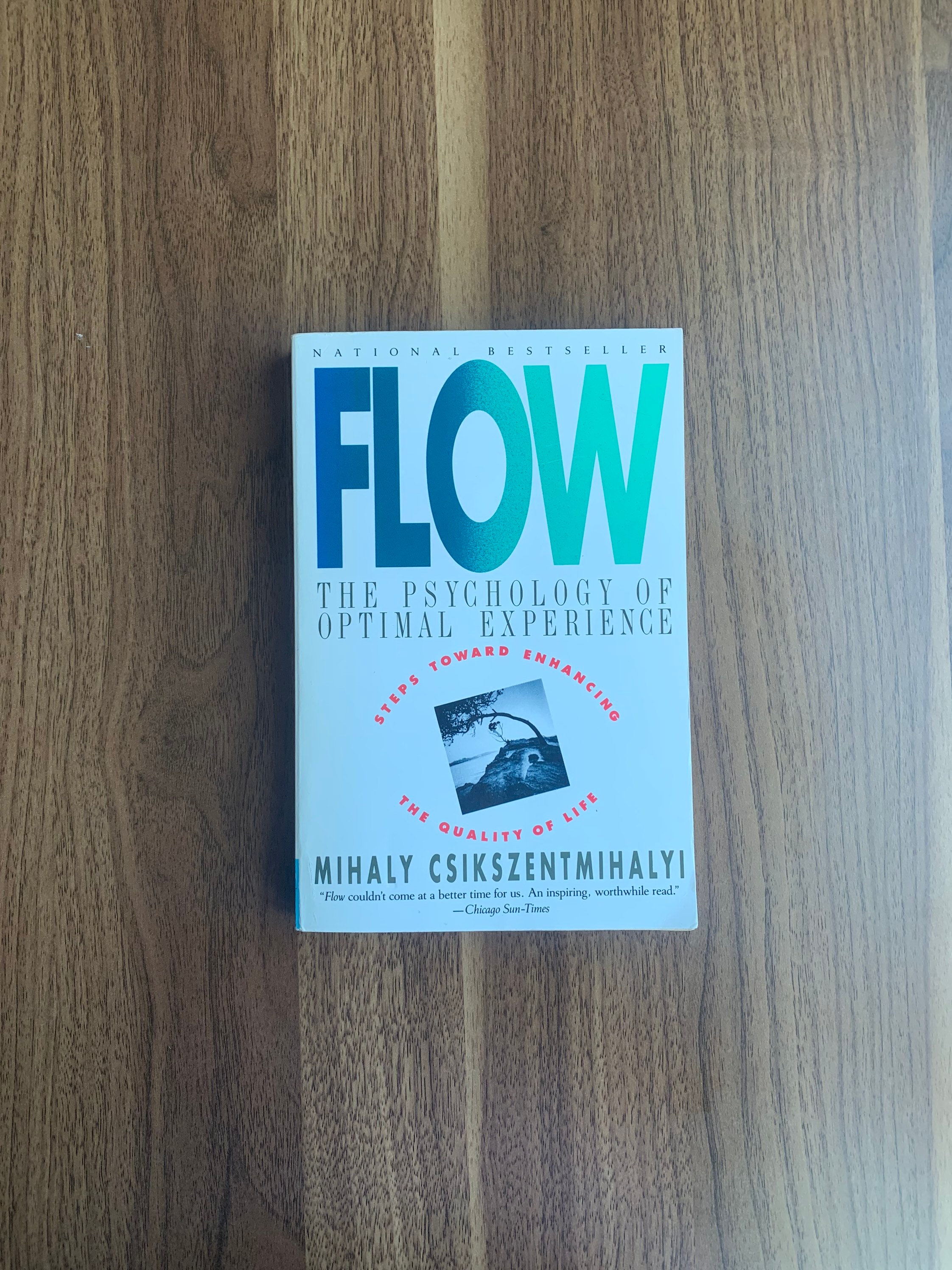 Flow: the Psychology of Optimal Experience by Mihaly Csikszentmihalyi ...