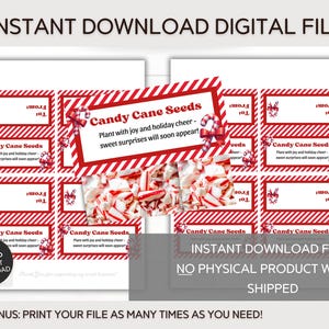 Christmas Candy Cane Seeds White Elephant Gag Gift | Secret Santa Gift ...