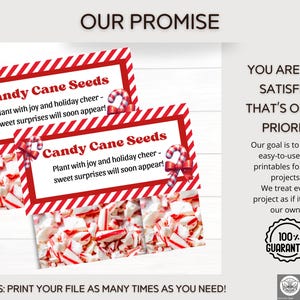 Christmas Candy Cane Seeds White Elephant Gag Gift | Secret Santa Gift ...