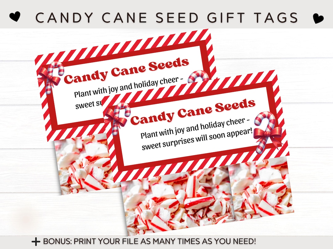 Christmas Candy Cane Seeds White Elephant Gag Gift | Secret Santa Gift ...